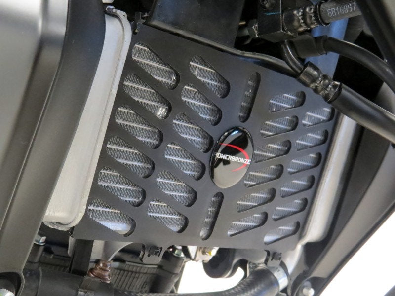 Yamaha MT-125 (20-22) Plastic Radiator Guard by PowerBronze – Fast Bike ...